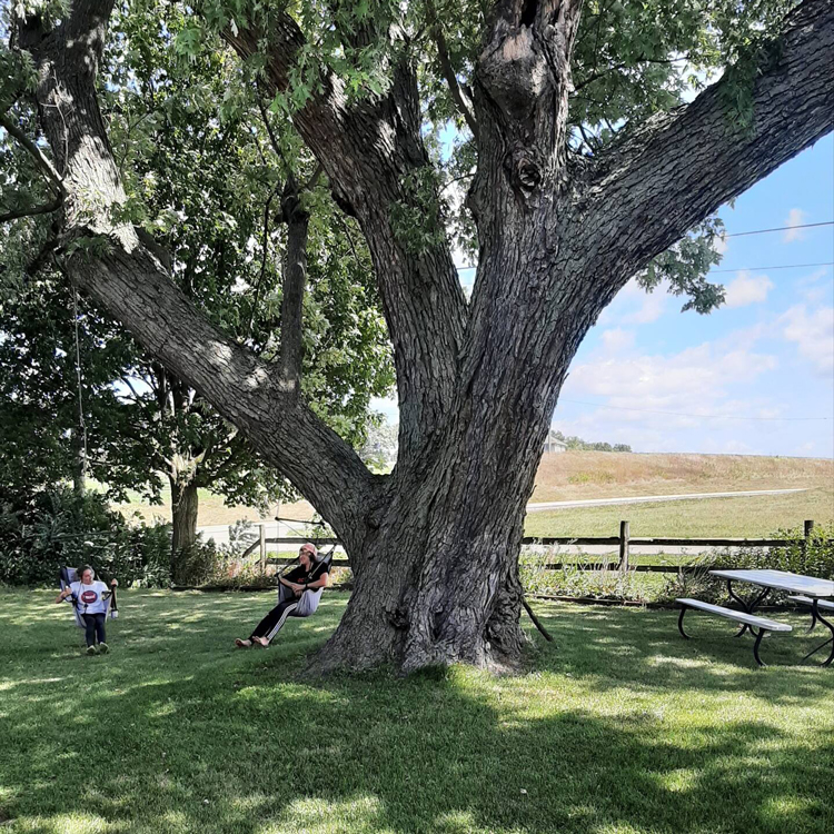 Telderer's Rainbows End Farm | Sustainable Farming with Organic ...