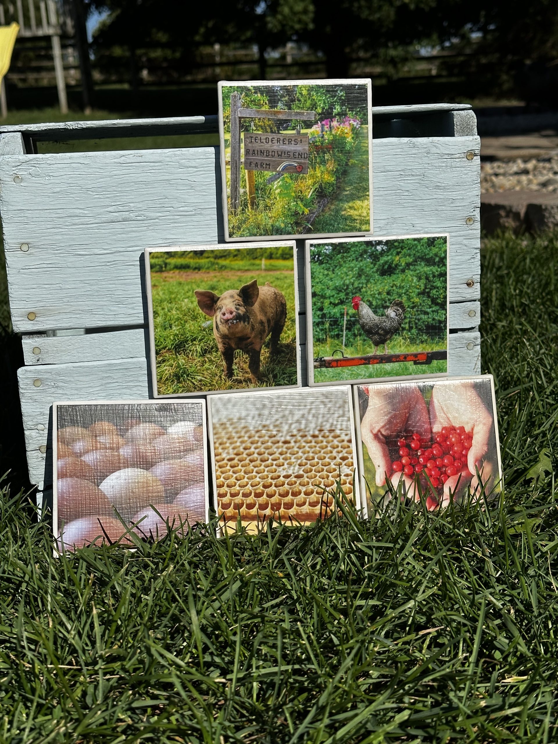Farm Art Products - Telderer's Rainbows End Farm