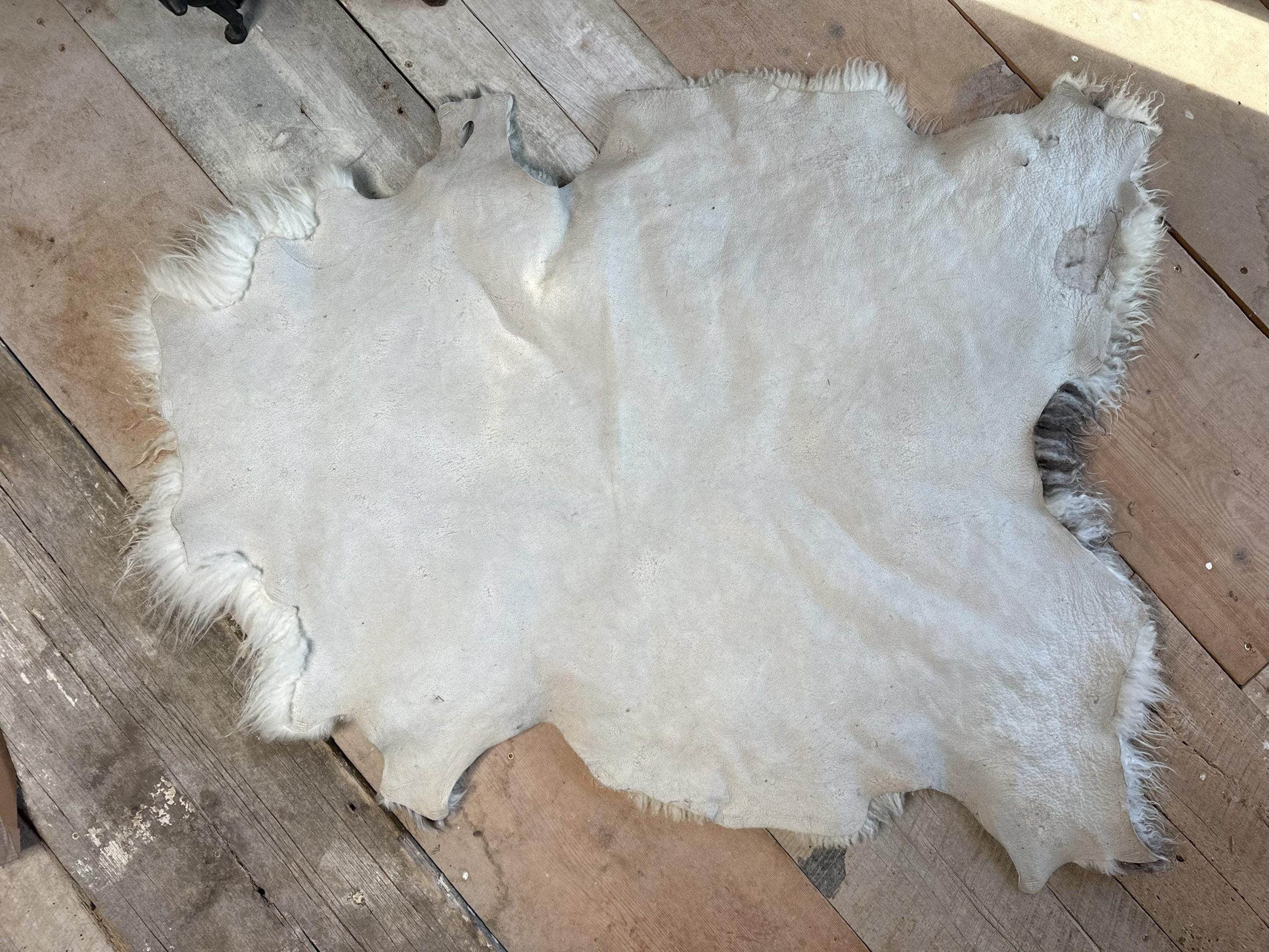 All Natural Large, soft white sheepskin with black patches and dark ...