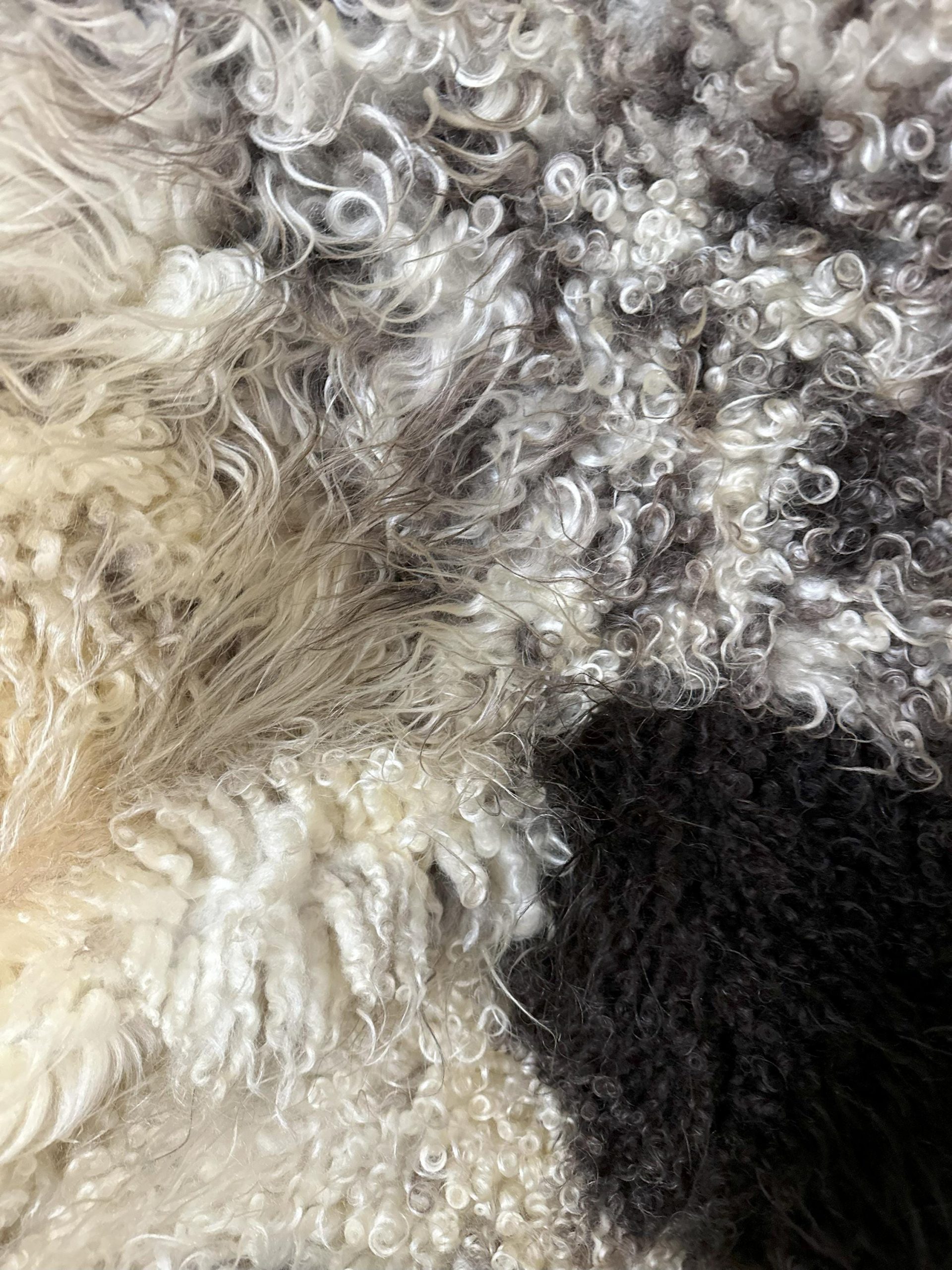 All Natural Large, soft white sheepskin with black patches and dark ...