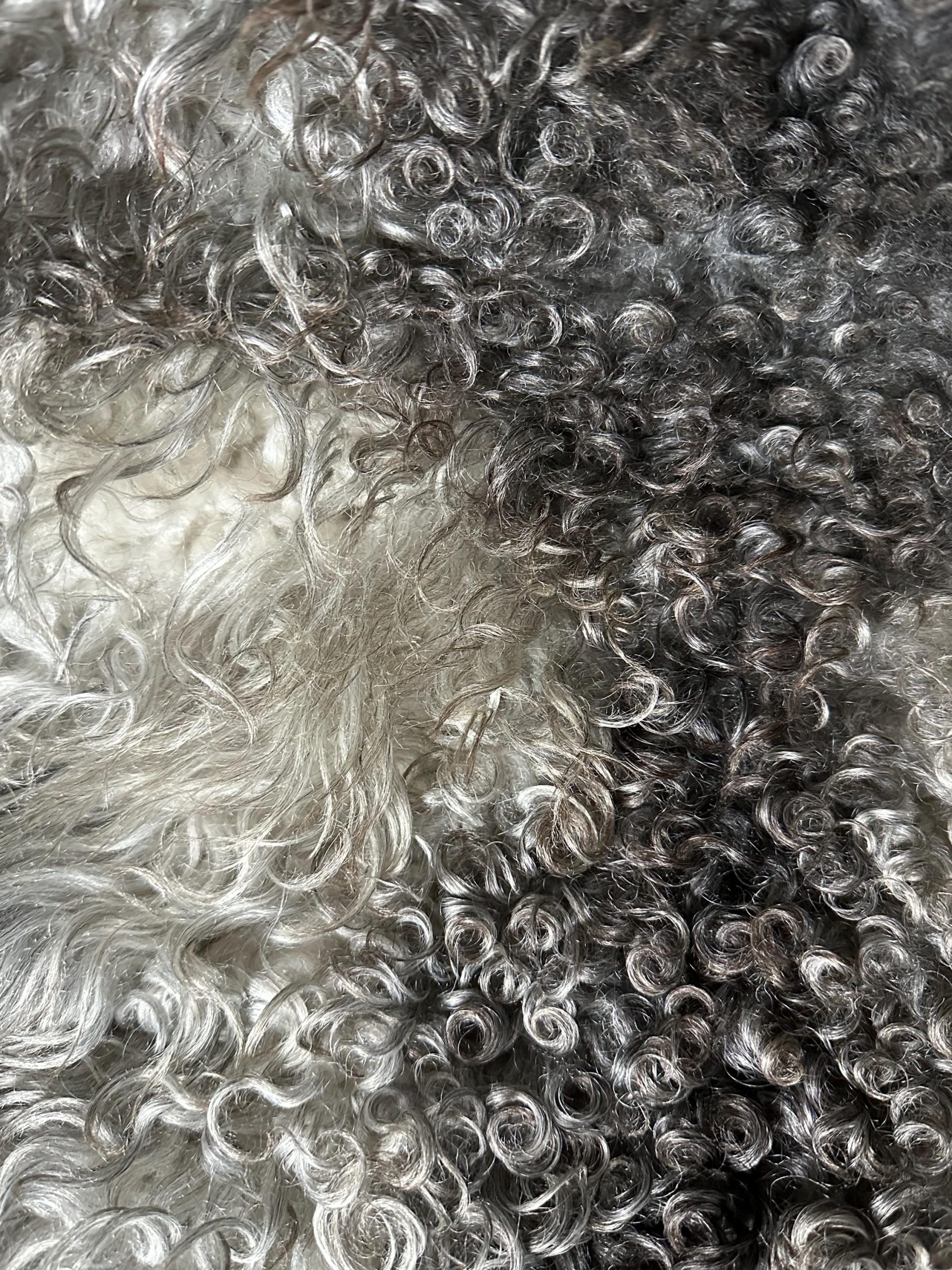Silverback Icelandic Sheepskin – Grey Gradient, Long Wool Rug ...